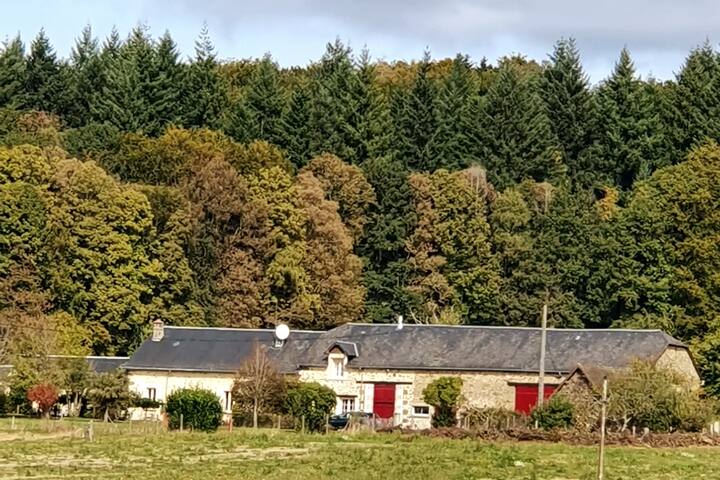 Agréable Chambre Oiseau à L'enclos Du Bélier - Eymoutiers