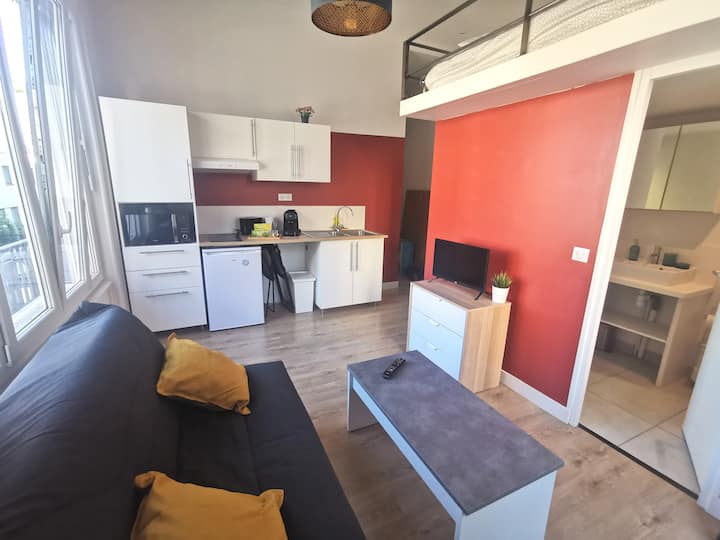 Lumineux T1 De 23m2 à 100m Des Métro/tram - Lyon