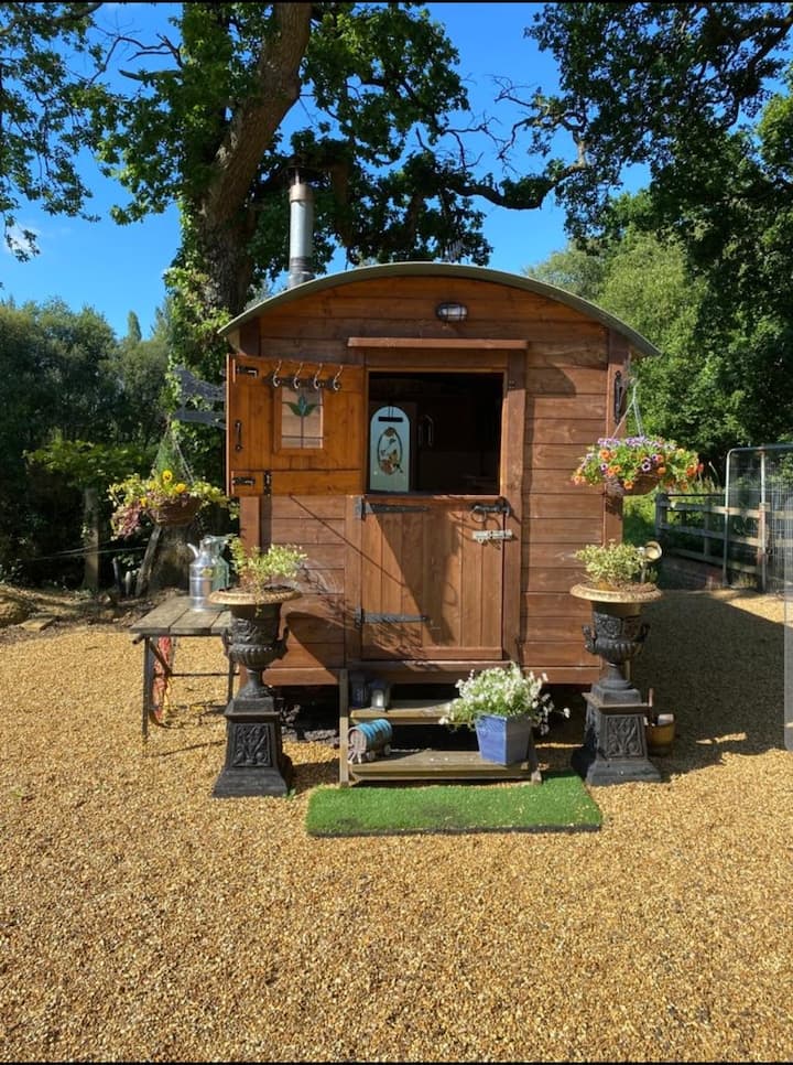 The Stag's Nest - Hampshire