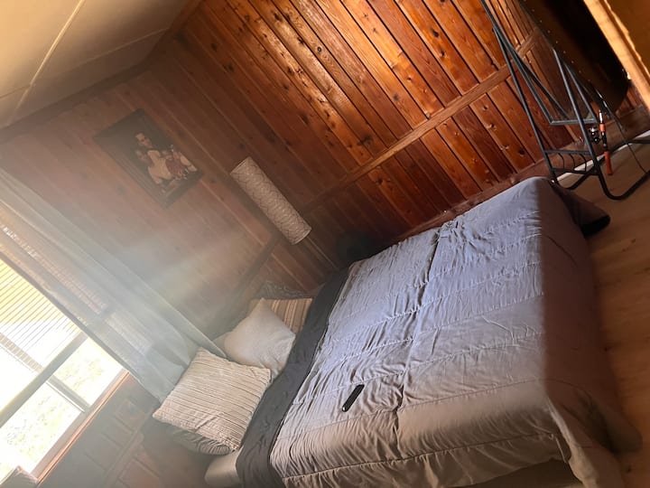 Cozy Cute Little Cottage With Pool - Clermont, FL