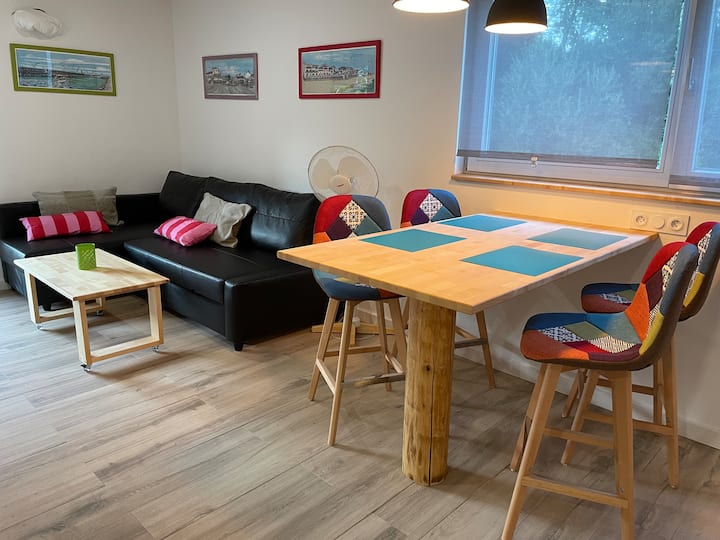 Charmant Appartement Face à La Forêt - Saint-Vincent-de-Tyrosse