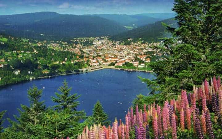 Gerardmer : Studio Meublé Pour 3 Personnes - Lac de Longemer