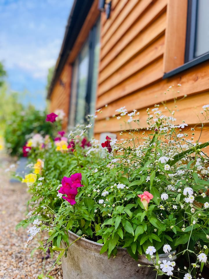 Adorable Detached 1 Bedroom Annexe With Hot Tub - Hampshire