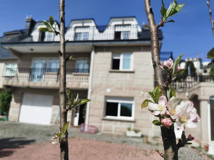 Precioso Apartamento Con Vistas A Los Viñedos - Sanjenjo