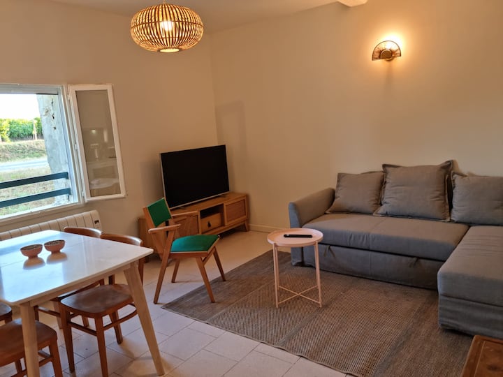 Un Coin De Paradis Au Coeur D'un Domaine Viticole - Villeneuve-lès-Maguelone