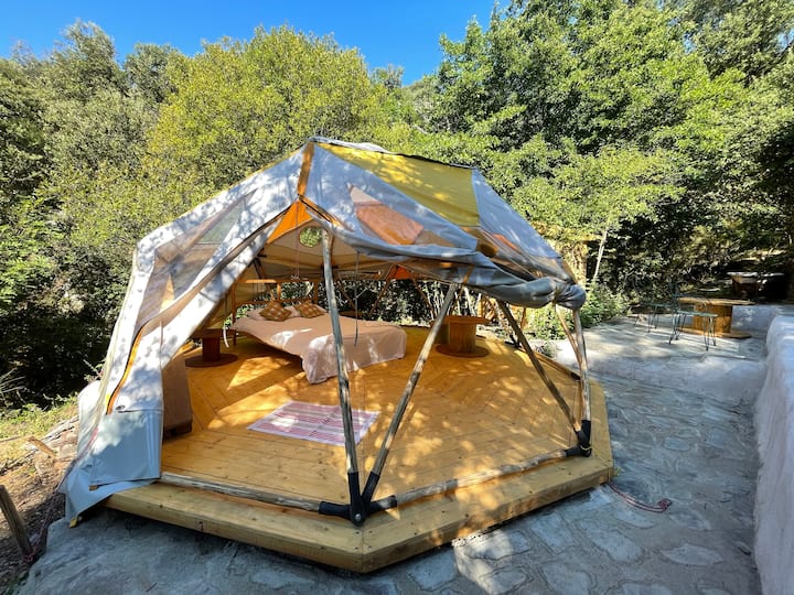 Chestnut-framed Geodome Hidden In Nature - Hérault