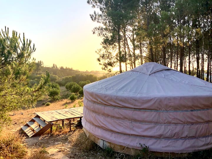 Beautiful Mongolian Yurt In A Forest. Rustic - Odeceixe