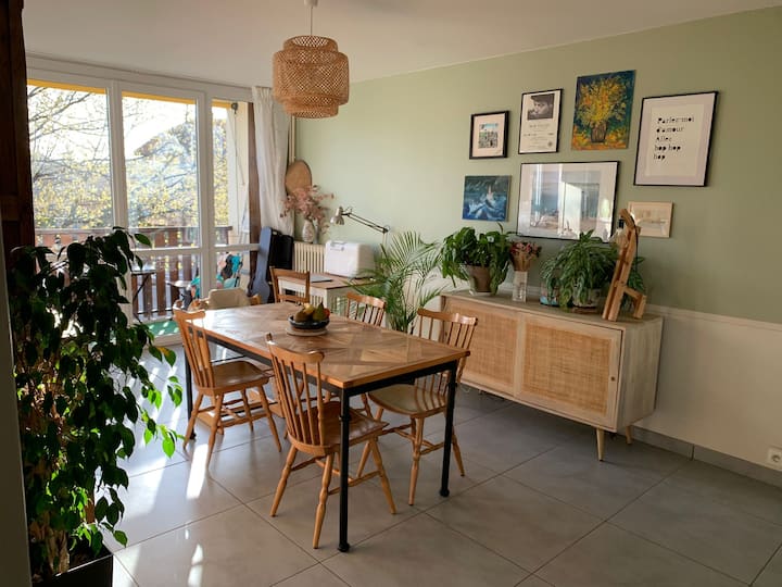 Grand Appartement Familial 4 Ch. - Annecy