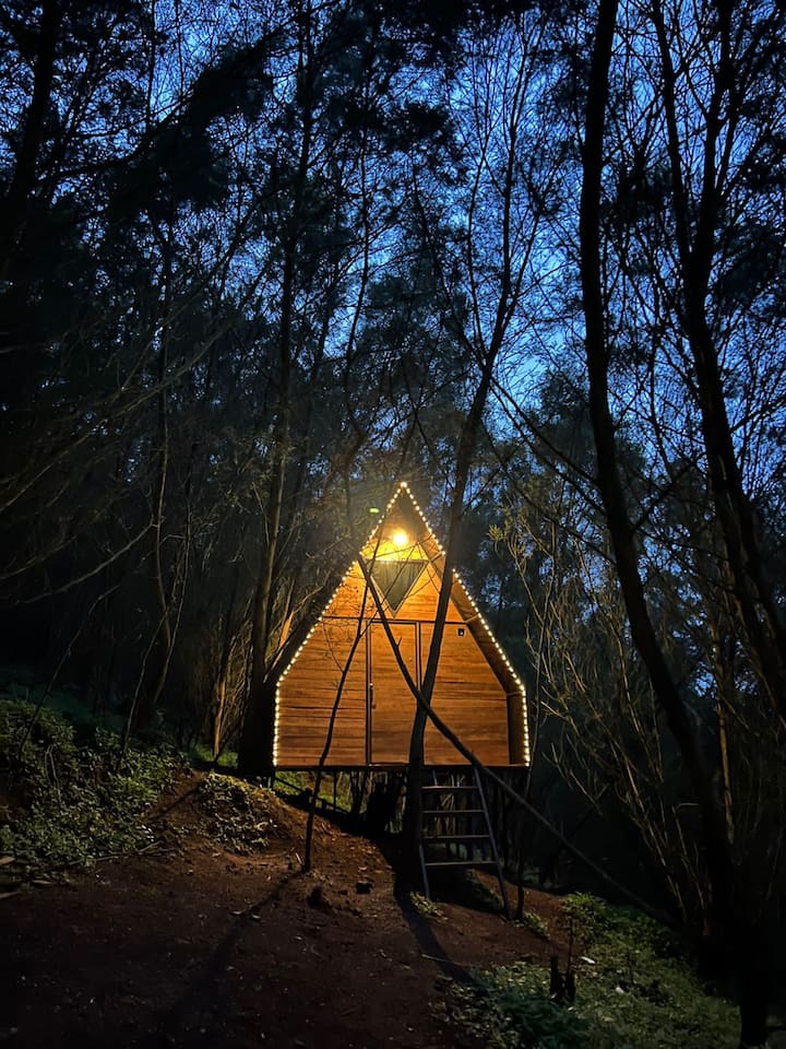 Penta Cabin Ooty - Ooty
