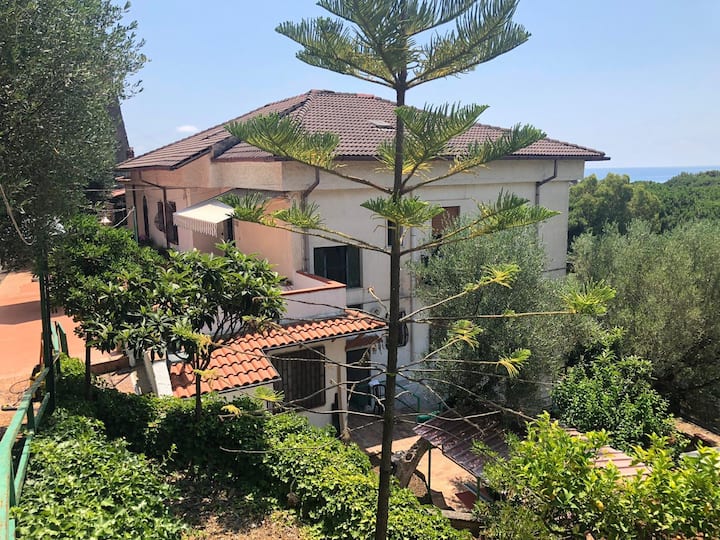 Trilocale Con Giardino E Spazio Esterno Sul Mare C - Centola