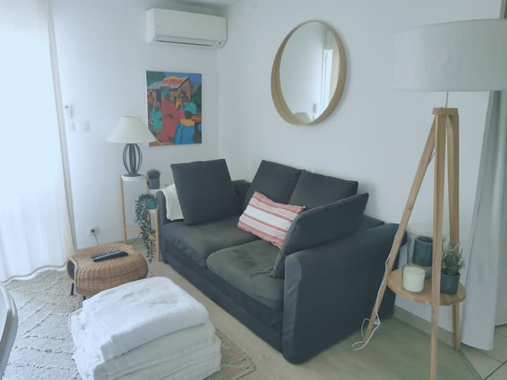 Superbe Appartement En Résidence Avec Piscine - Balma