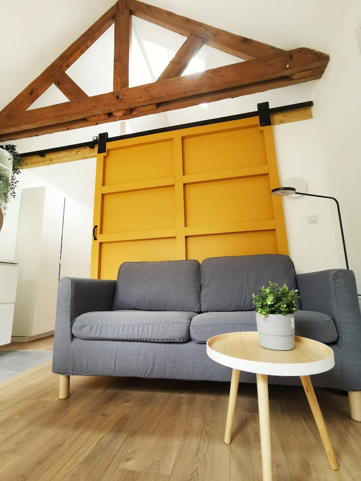 Le Mexico De Béthune (Loft - Gare - Terrasse) - Béthune