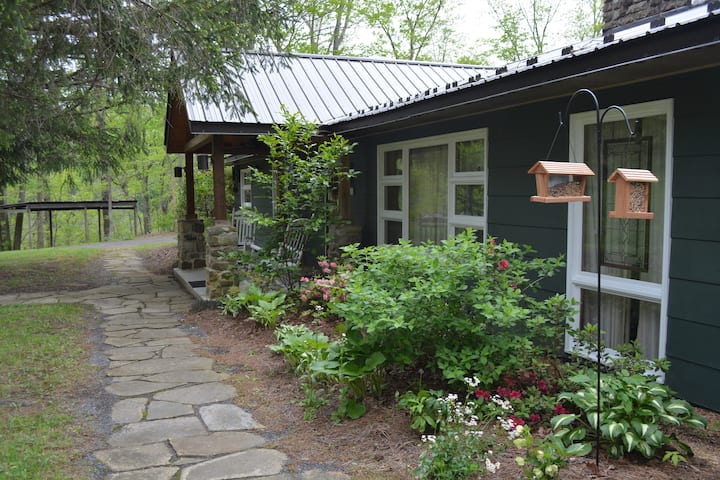 Cosy Mountain House - Covington, VA