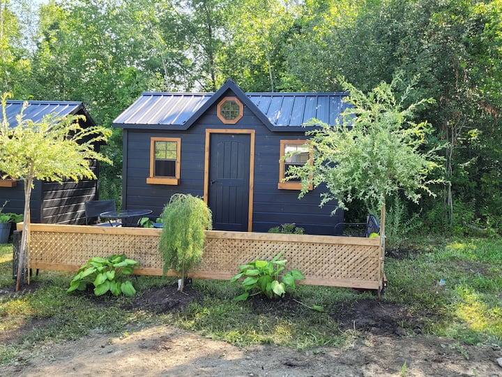 The Music Shack (Outdoor Room) - Midland
