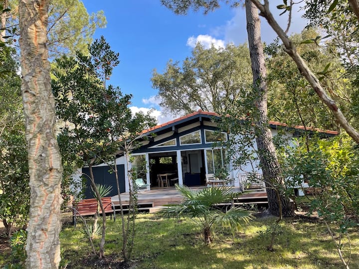 Belle Villa Proche De L'océan Dans Jardin Arboré - Vieux-Boucau-les-Bains