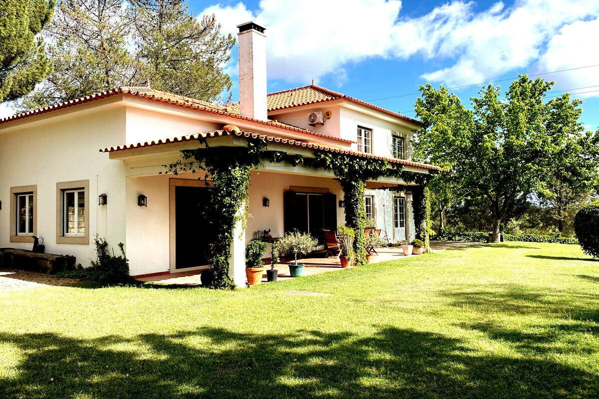 Casa do Campo - Castelo Branco - Casas para Alugar em Castelo Branco ...