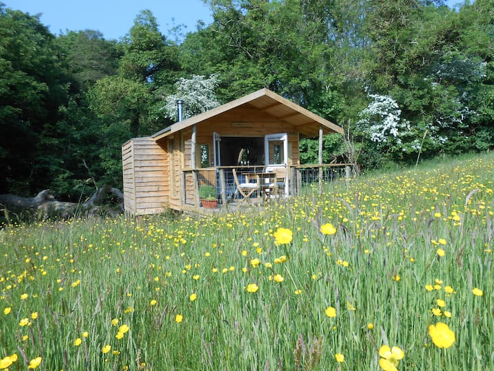 Solo Hand Crafted Eco Cabin Set By A Stream - Cardigan
