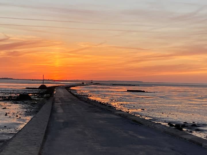 Logement Calme - Fromentine
