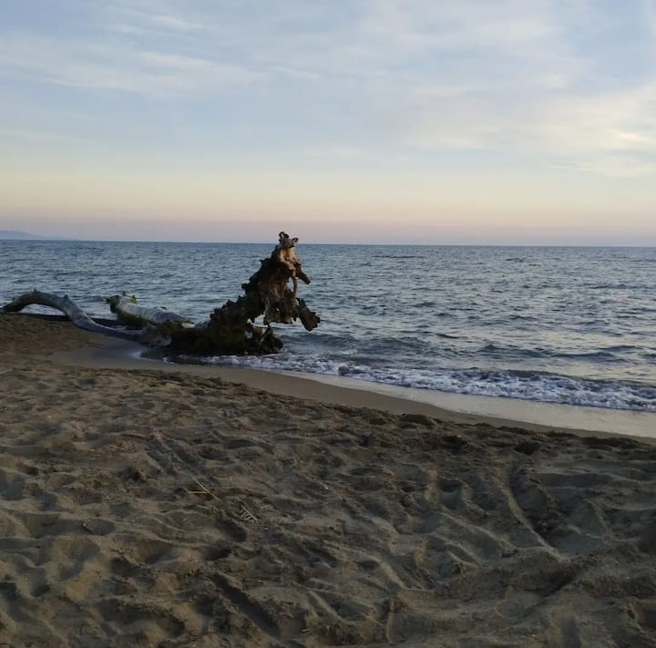 "Giardino Delle Gemme" A Dieci Min Dal Mare. - Grosseto