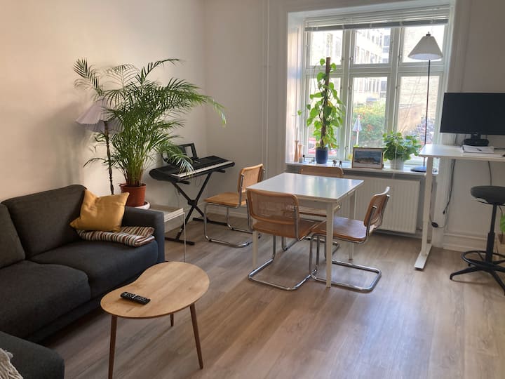 Cosy Apartment With A Beautiful Roof Terrace - Copenhagen