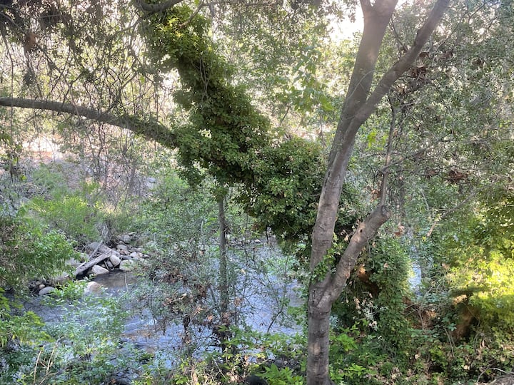 Riverfront Retreat+spa+gameroom Close To Sequoia - California