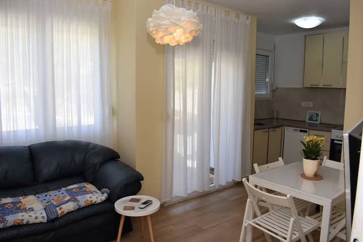 Harmony Apartment - Kotor