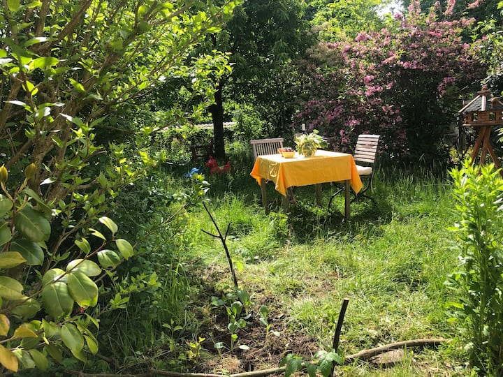 Schönes Einfamilienhaus Mit Garten Direkt Am Park - Fribourg-en-Brisgau