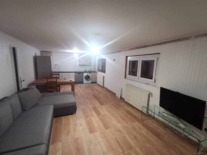 Appartement / Studio Avec Parking Et Vu Mont-blanc - Divonne-les-Bains