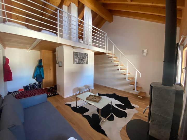 Zinal Centre, Superbe Appartement - Zinal