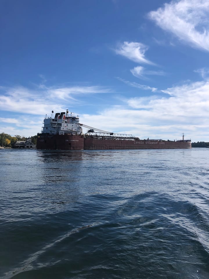 Village Waterfront! Short Walk To All Attractions! - Alexandria Bay, NY