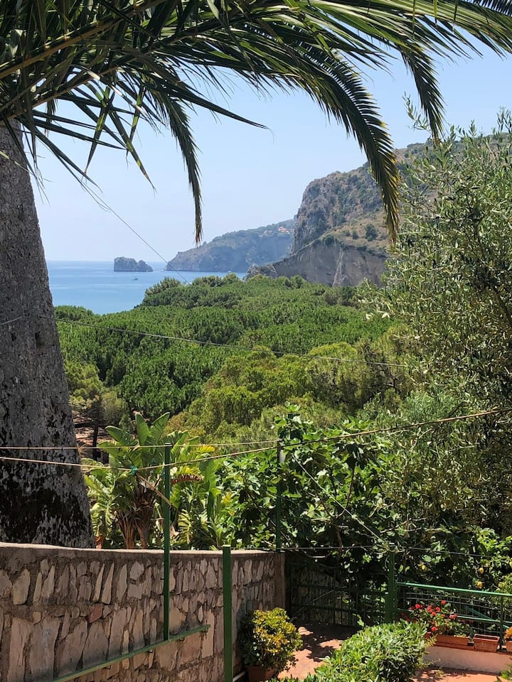 Trilocale Vista Mare - Spiagge E Servizi A Piedi 1 - Palinuro