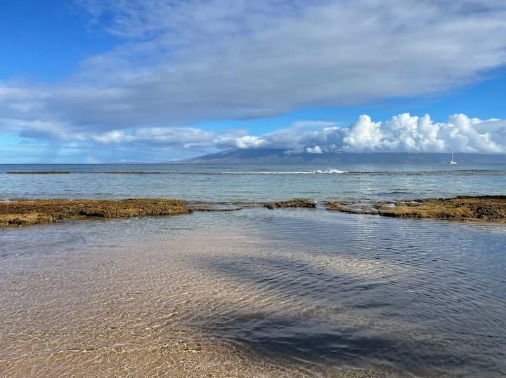 Oasis Tropical Sur La Mer - Maui, HI