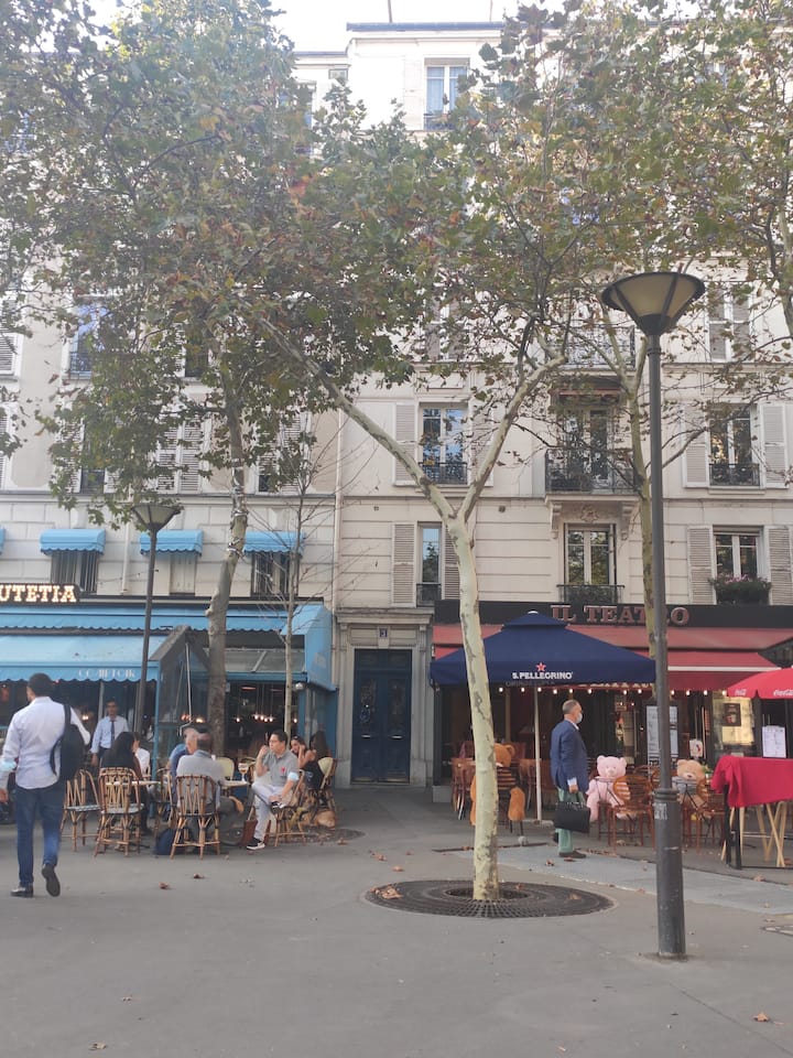 Un Cocon Paisible Dans Le Quartier Beaugrenelle - Paris