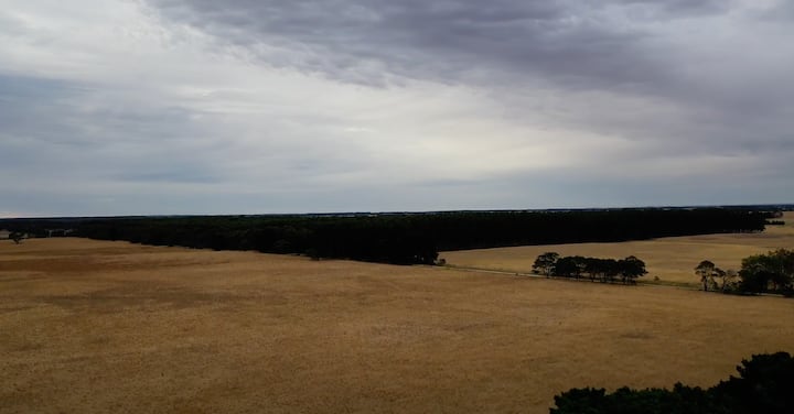 Wongalea - 32 Acres. All Yours. - Hamilton