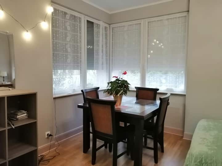 Dépendance Cosy Et éQuipée à Schiltigheim - Schiltigheim