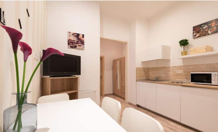 Standard Apartment By Hi5- West End Center - Budapest