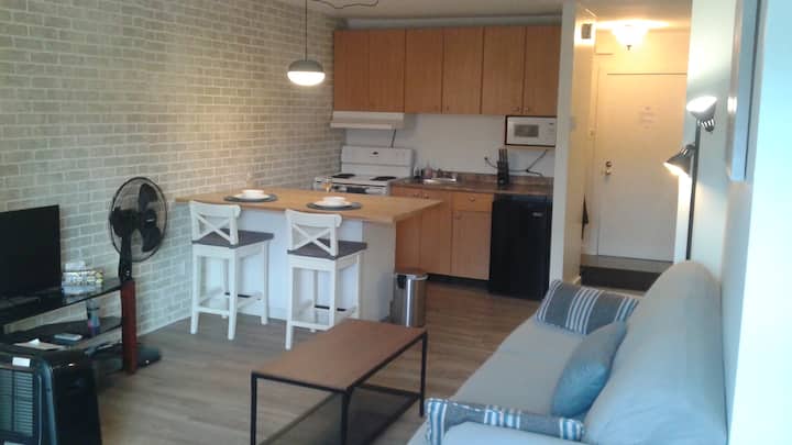 Beau Studio Mile-end /.5 Plateau - Montreal