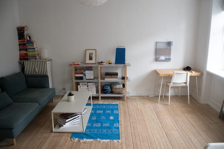 Lovely And Light Apartment - Copenhagen