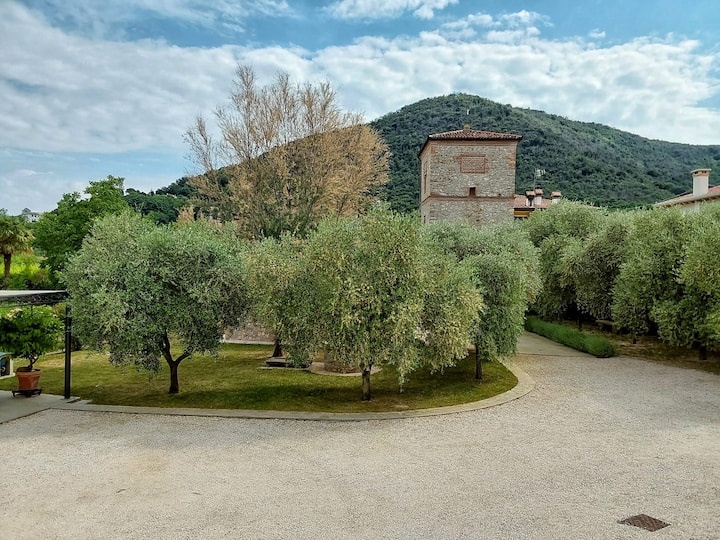 Colombara Del 900 Un Viaggio Nel Tempo E Nel Relax - Este