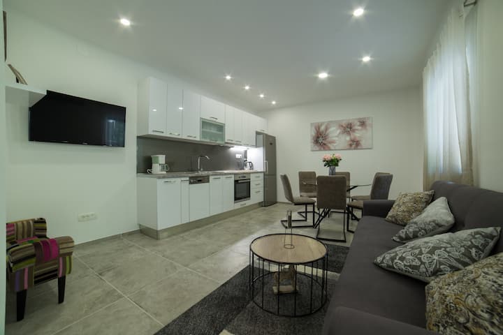 Apartment Grape - Split