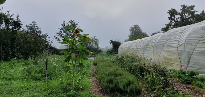 Familienerholung Im Landgarten Zu Lübeck - Lübeck