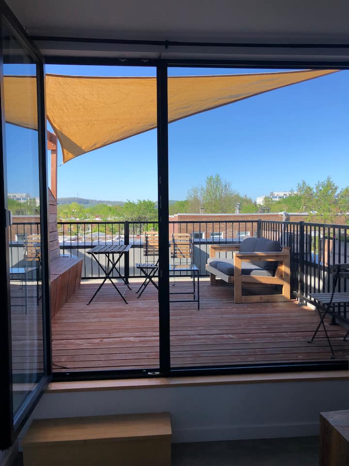 2 Level Condo, Terrace With A View On Mont Royal - Montreal