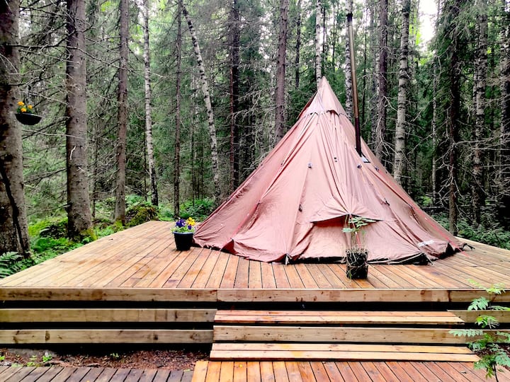 Havukota Glamping& Private Nature Protected Forest - Saarijärvi