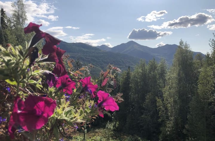 Moose Meadow: 3b/3b & Hot Tub - Anchorage, AK