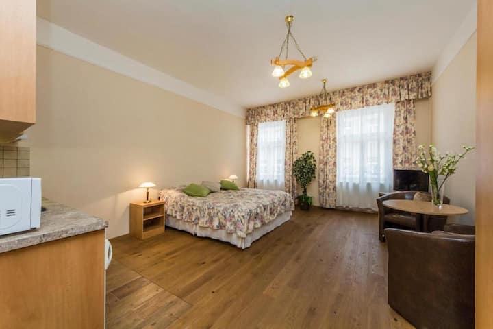 Comfortable Apartment In The Heart Of Prague - Praga