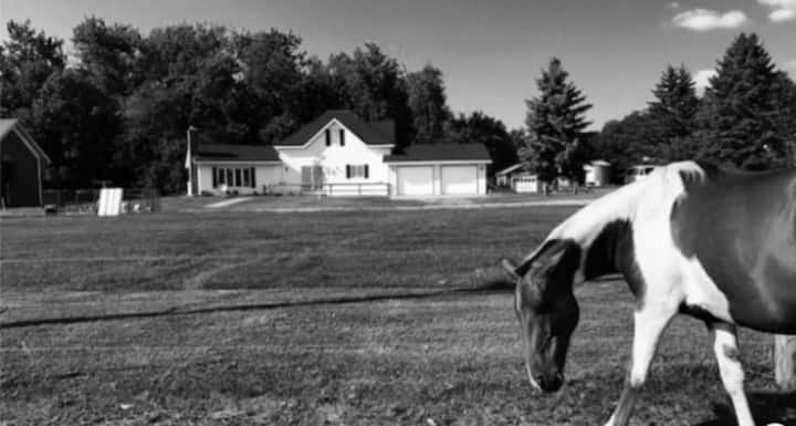 Red Barn Ranch - North Dakota