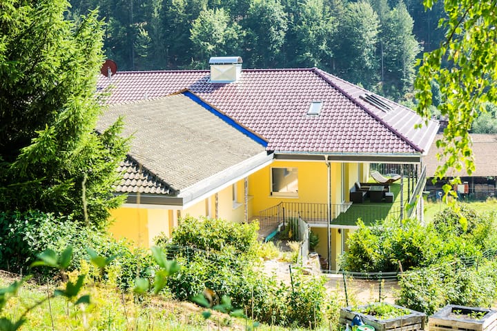 Séjour De Luxe: Sauna, Jacuzzi & Salle De Billiard - Forbach, Deutschland