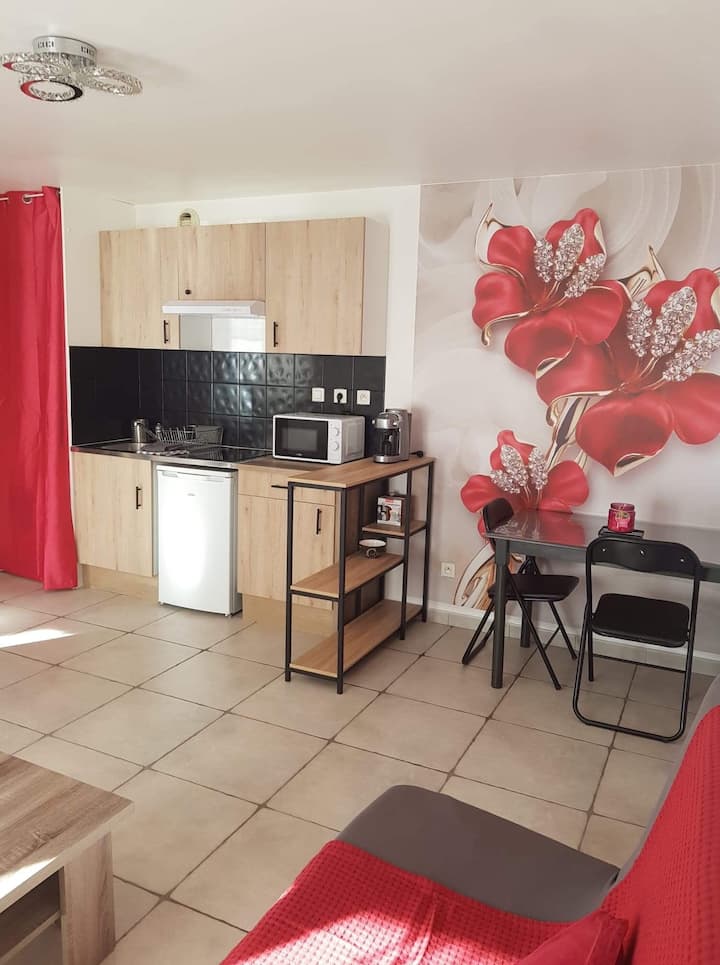 Superbe T2 De 30 M2 Au Calme, éLégant + Parking - Chambéry