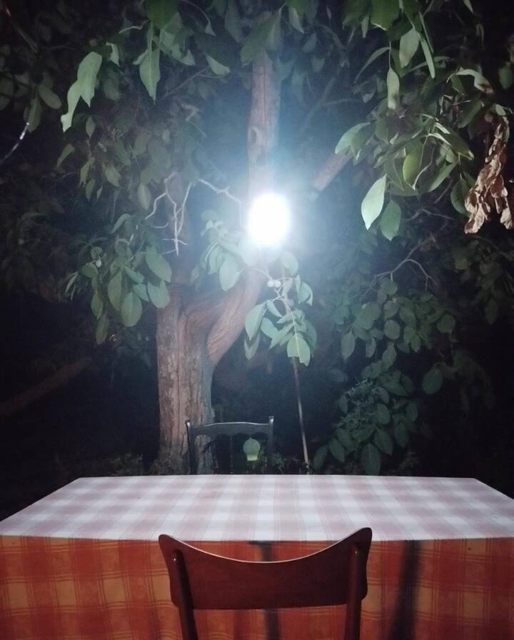 Fienile Rustico Con Ampia Campagna Con Alberi - Vittoria