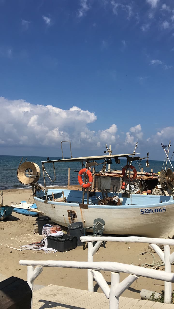 Luxury Villa Near Roma
Cin:it058091c239n6cs8p - Ardea